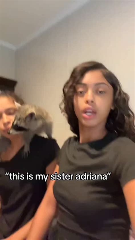 Raccon ️ Not He Paused Like He Knew What Was Going On 🤣🤣🤣 👫 Tag A Friend 👉 Follow Raccoon