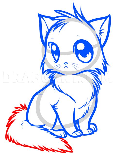 How To Draw An Anime Cat Step By Step Drawing Tutorials