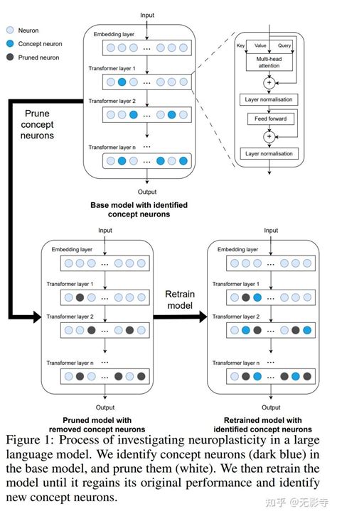 【llm】如何让大语言模型重新学习被移除的概念 知乎