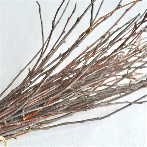 Twig Bundle Etsy