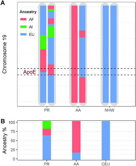 Illustration Of Local And Global Ancestry This Figure Represents Download Scientific Diagram