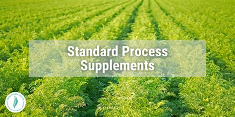 Standard Process Supplements Vitamins And Products Snow Holistic Health