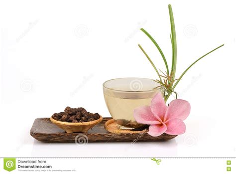 Nut Grass Coco Grass Cyperus Rotundus L Royalty Free Stock Image 82227718