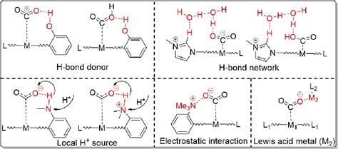 Schematic Diagram Of Second Sphere Coordination Interactions