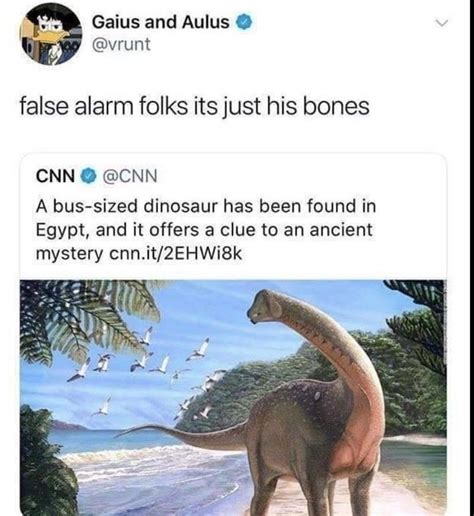 Dinosaur Mythology Facts Weird Dinosaur Facts Funny Paleoart