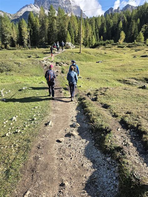 Foto Profissional Gratuita De Alpino Amantes Da Natureza Andarilhos Ao Ar Livre árvores