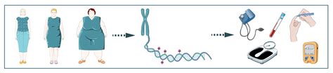Dna Methylation Marks Related To Maternal Obesity And Weight Gain