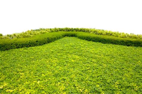 85000 Grass Perspective Pictures