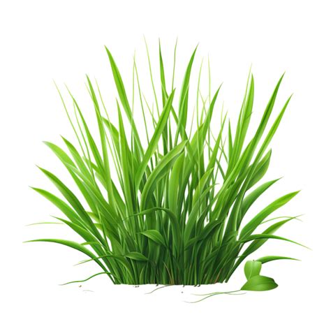 千库网嫩绿色青草ai元素立体免扣装饰元素编号13705582