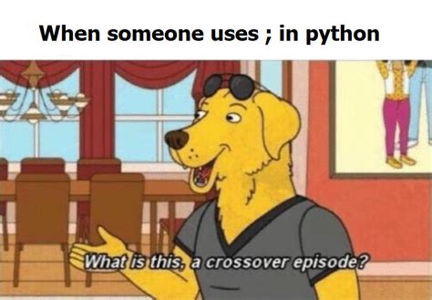 When You Use Semicolons In Python Rprogrammerhumor
