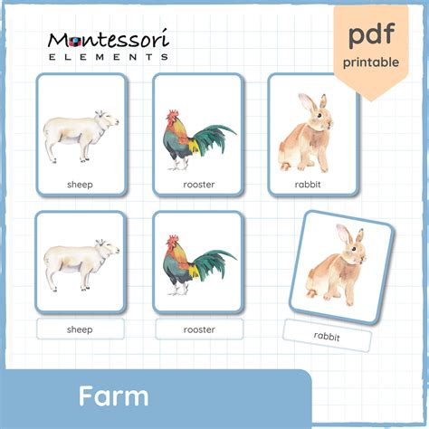 Farm Animals Montessori Cards Three Part Cards Nomenclature Cards
