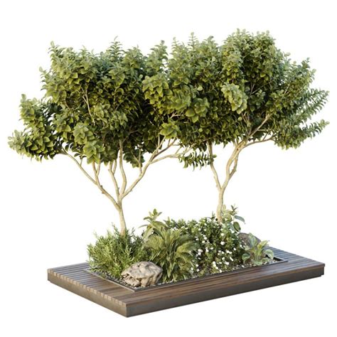 Hq Tree And Bush Garden Box Outdoor Vol 46 363772 3d Model Download 3d Model Hq Tree And