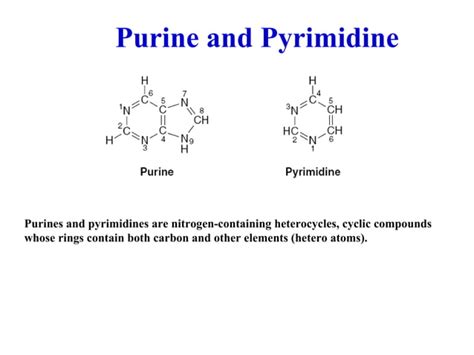 Biochem Nucleotides Structure And Functions June 18 2010