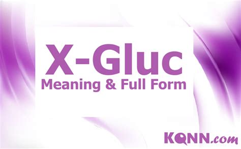 X Gluc Meaning And Full Form Explained Kqnn