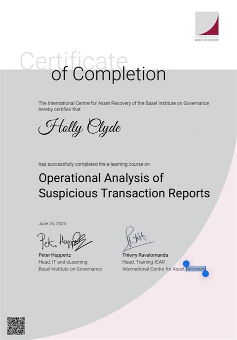 Basel Institute On Governance Holly Clyde