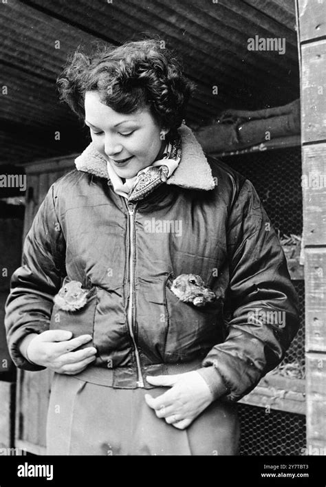 Easter Bunnies For Jean Kent 7 April 1950 Easter Goes With A Zip For