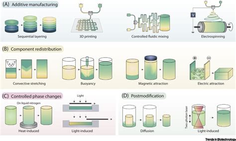 Simple Diffusion Gradient In Proper Orientation