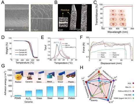 Researchers Propose First Hyperelastic Adhesive For Heterogeneous