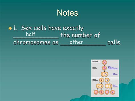 Ppt Chapter 3 Genetics The Science Of Heredity Powerpoint
