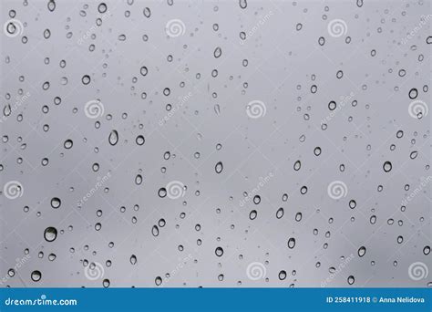 Small Raindrop On Leaf Of Rose Flower Stock Image