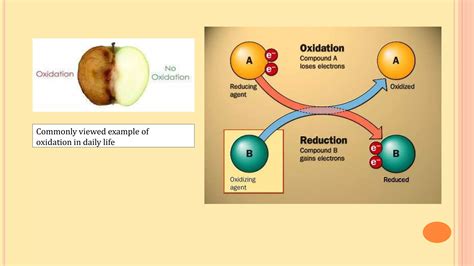 Preformulation Chemical Properties Pptx