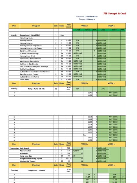 Pip Training Program I Pdf Human Anatomy Dance Science