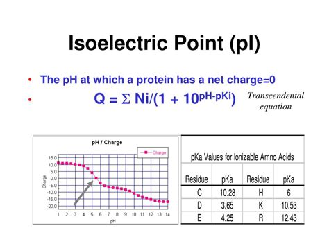Ppt Protein Feature Identification Powerpoint Presentation Free