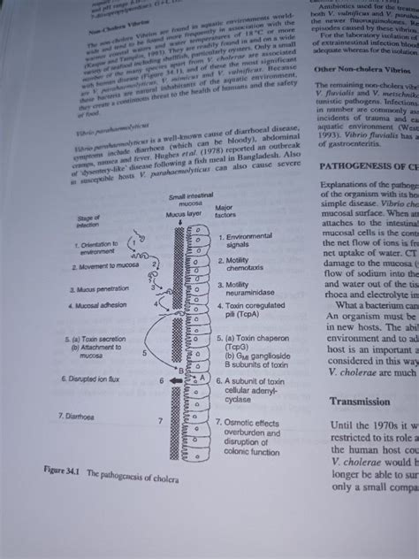 Medtech Clinical Bacteriology 2nd Edition Hobbies And Toys Books And Magazines Textbooks On Carousell
