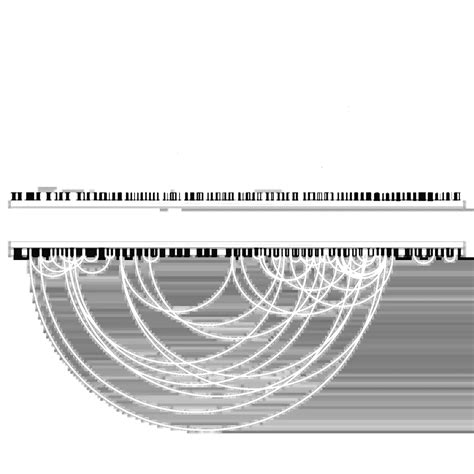 دکتر امید رضایی بهترین مشاور مهاجرت کانادا