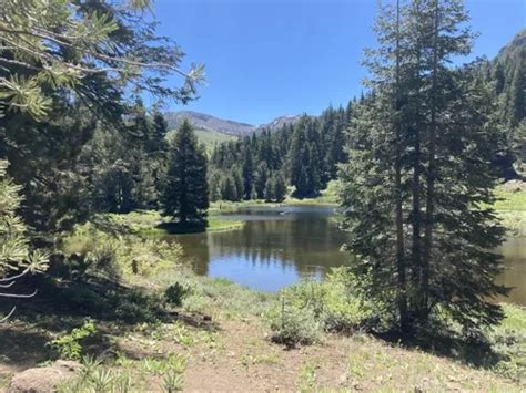 10 Best Hikes And Trails In Modoc National Forest Alltrails