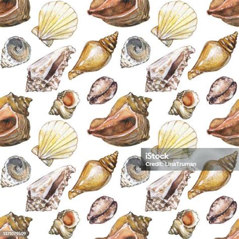 조개 모양의 수채화 원활한 패턴 손으로 그린 그림 디자인 배너 포스터 인쇄 엽서 섬유 템플릿 카드에 대한 수채화 조개 패턴 개체 그룹에 대한 스톡 벡터 아트 및 기타 이미지