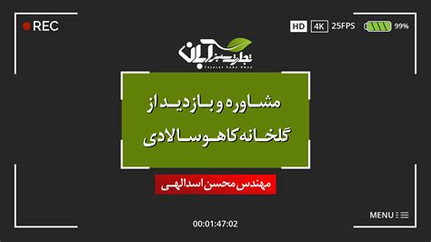 بازدید از گلخانه کاهو سالادی