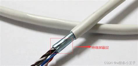 windows与网络基础 23 传输介质 双绞线 掌握基本的传输介质 双绞线、光纤 了解网络设备 交换机、路由器 能够组建局域网 csdn博客