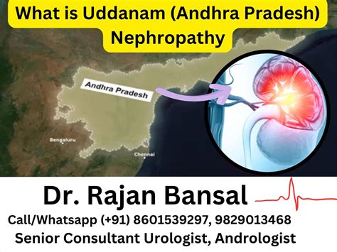 Low Semen Volume Or No Ejaculation When To See A Urologist