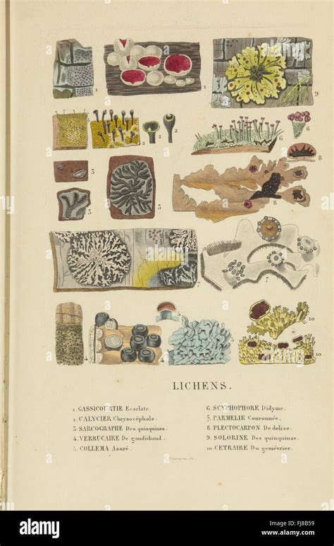 A Classical Dictionary Of Natural Sciences Providing Definitions And Explanations Of Key Terms