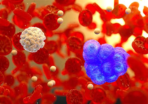 Bd Bactec Brightbird Design