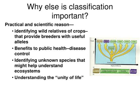 Ppt Chapter 18 Powerpoint Presentation Free Download Id1991393