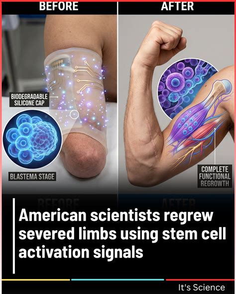 Its Science American Scientists Regrew Severed Limbs Facebook