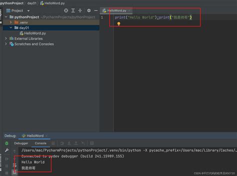 Python从入门到放弃 第二天 Python基础入门语言分隔符、注释语句、pep8规范、变量python Pep 8 规范 Csdn博客
