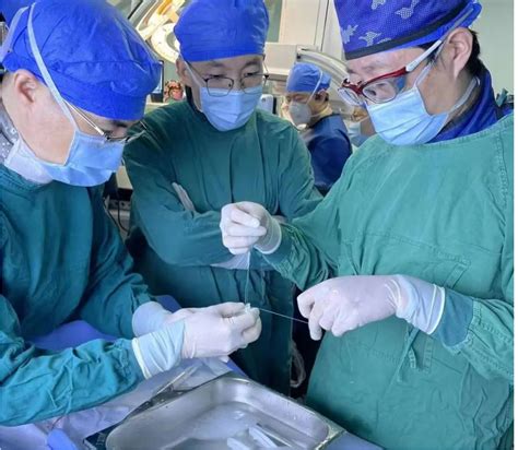 北京安贞医院心外科张海波教授团队成功完成肺栓塞和肺气肿肺毁损ar超大瓣环tavi手术 严道医声网