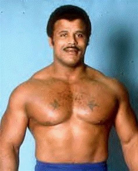 Opiniones De Rocky Johnson