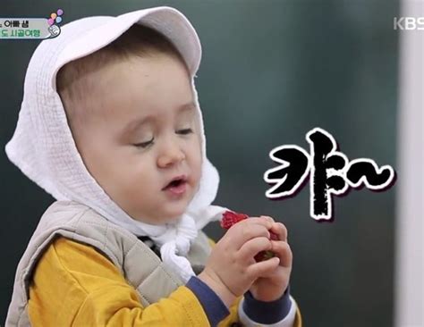 더쿠 커뮤에서 쓰기좋은 벤틀리 짤모음