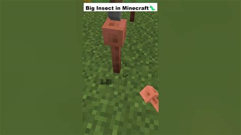 【minecraft】big Insect Tutorial🐛 Minecraft Minecraftbuild
