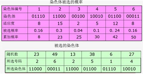 遗传算法解析 csdn博客