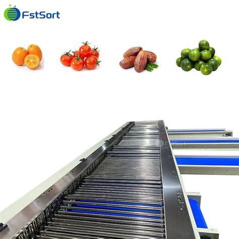 Streamlined Fruit Processing And Packaging Equipment Vegetable Sorting