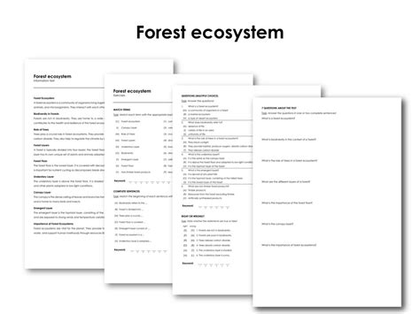 Forest Ecosystem Made By Teachers