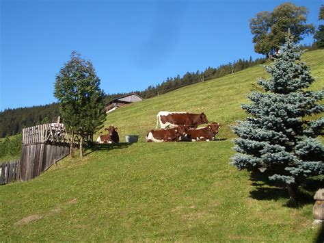 Nigglerhof Urlaub Auf Dem Bauernhof Toblach
