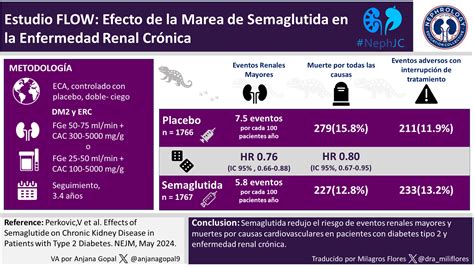 FLOW El Resumen Visual NephJC