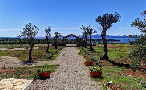 Milan Mandić Posted On Linkedin