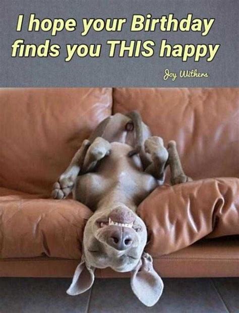 100 Funny Happy Birthday Quotes And Wishes For Best Friends Funny Happy